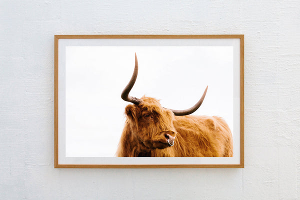 My Best Side – Pampa - US